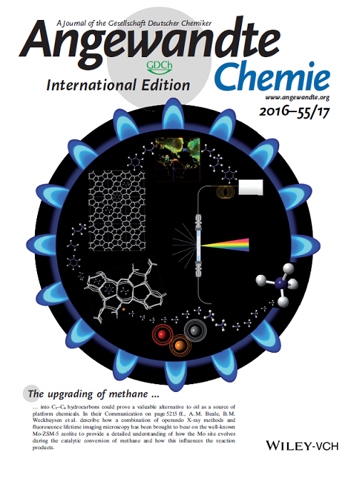 Cover Art – Weckhuysen Research Group