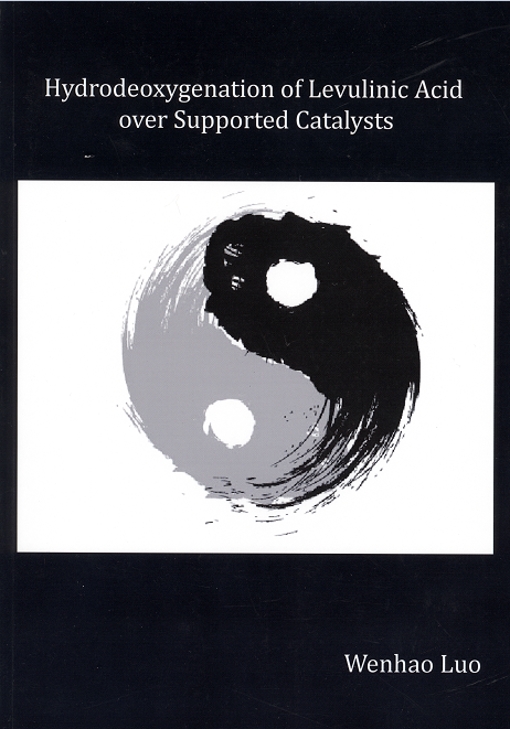 Theses – Weckhuysen Research Group