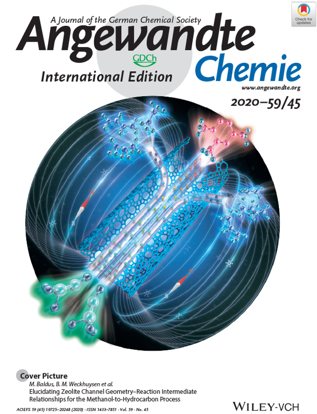 Cover Art – Weckhuysen Research Group